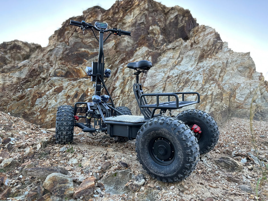 Products – ZEBRA FOUR WHEEL ELECTRIC SCOOTER